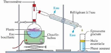 Article : Extraction, séparation et identification d’espèces chimiques